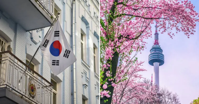 Attention Card Holders! Here Are the South Korea Simplified Visa ...