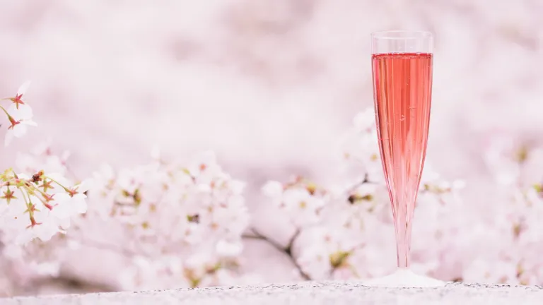 Sakura-Inspired Foods and Drinks You Have to Try in Japan