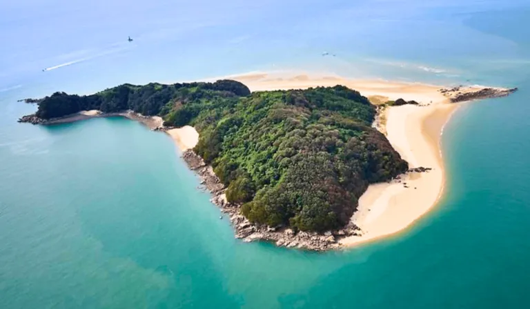 01JKSR7YH6FF3P839CBDDRB91S-w768.webp